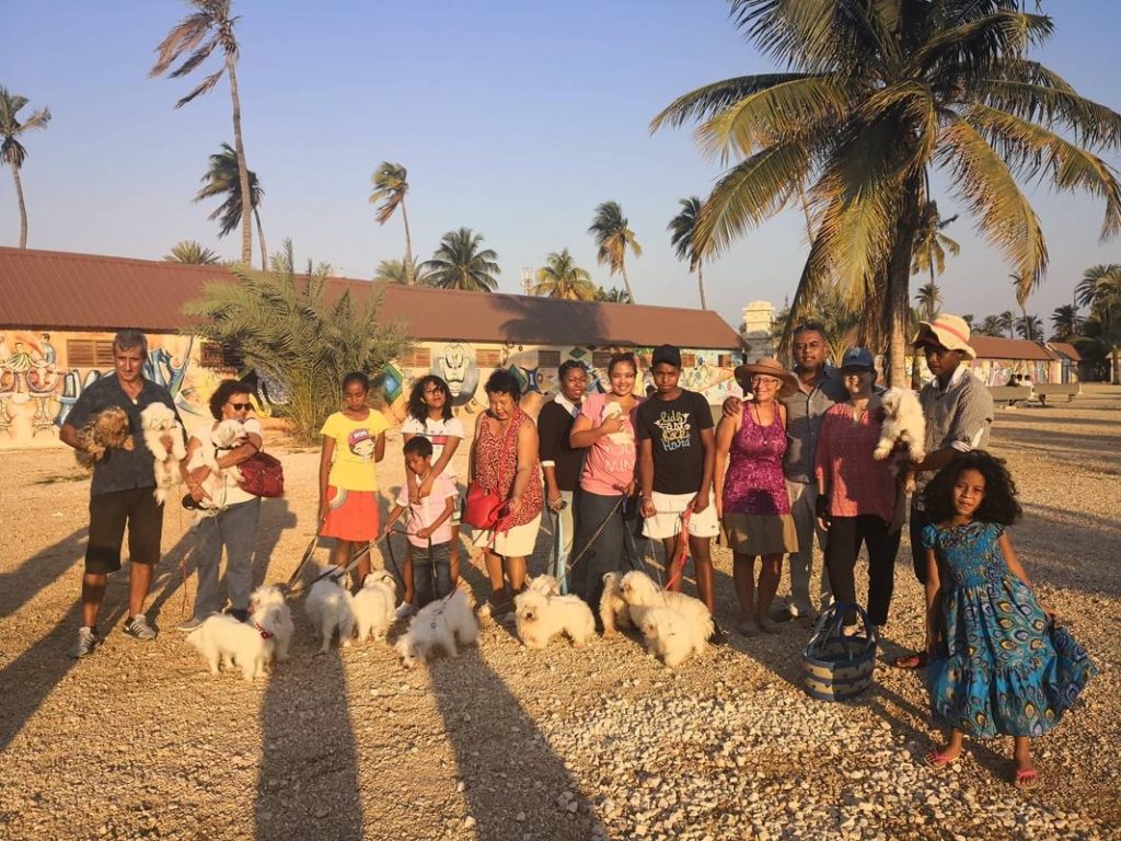 Why are there so many different Coton Registries? - whitebirchcotons